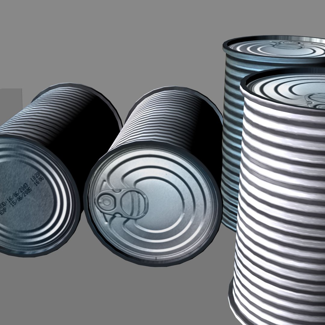 3d model tin