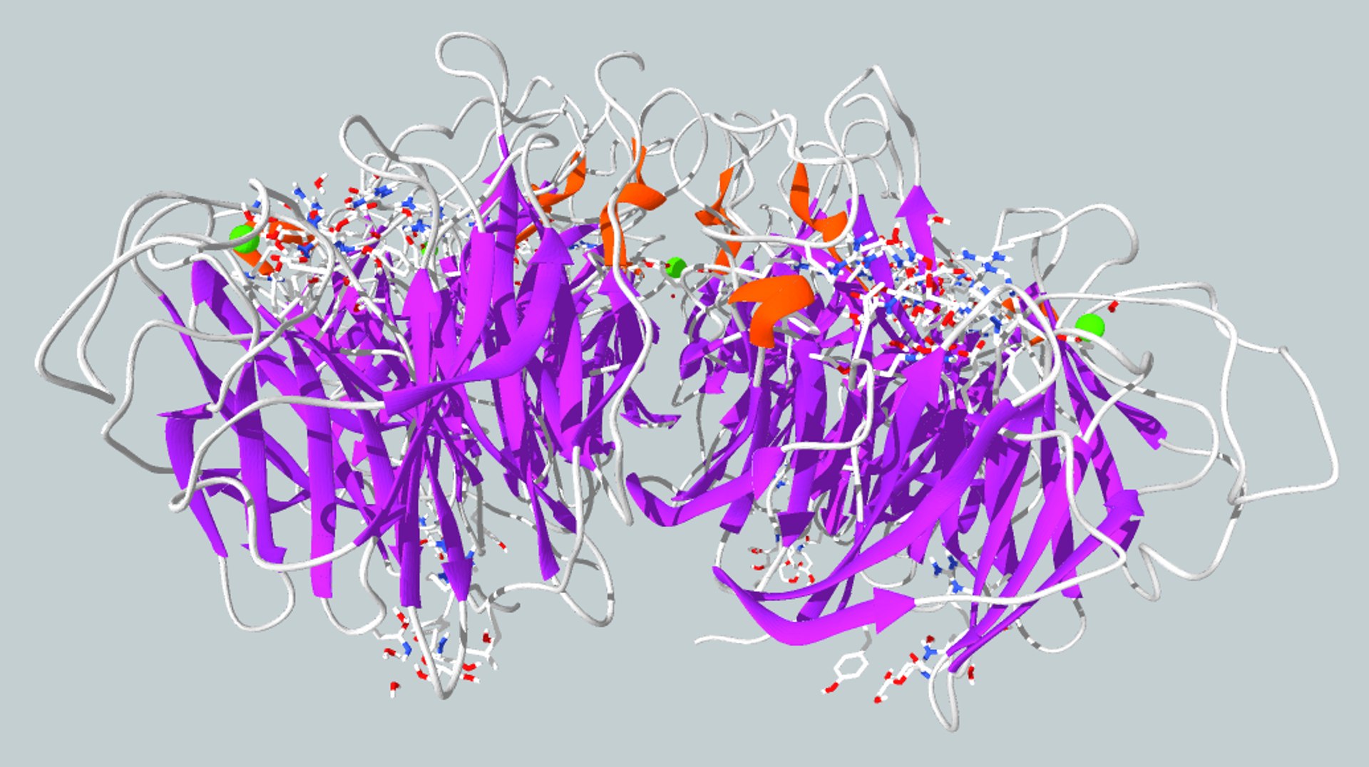 Influenza Virus 3d Model