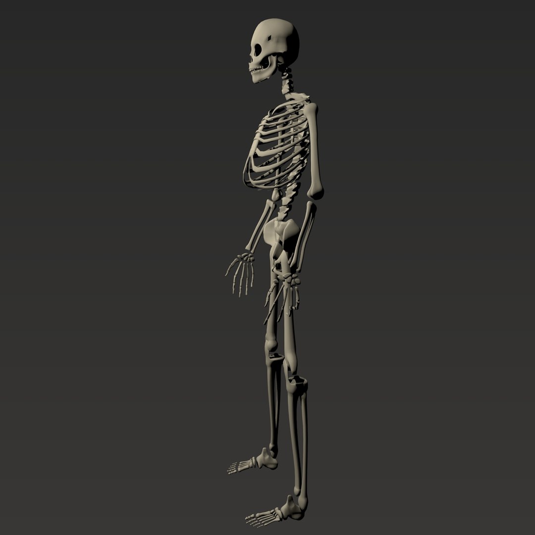 3D Dark Human Skeleton Rigged - TurboSquid 1433612