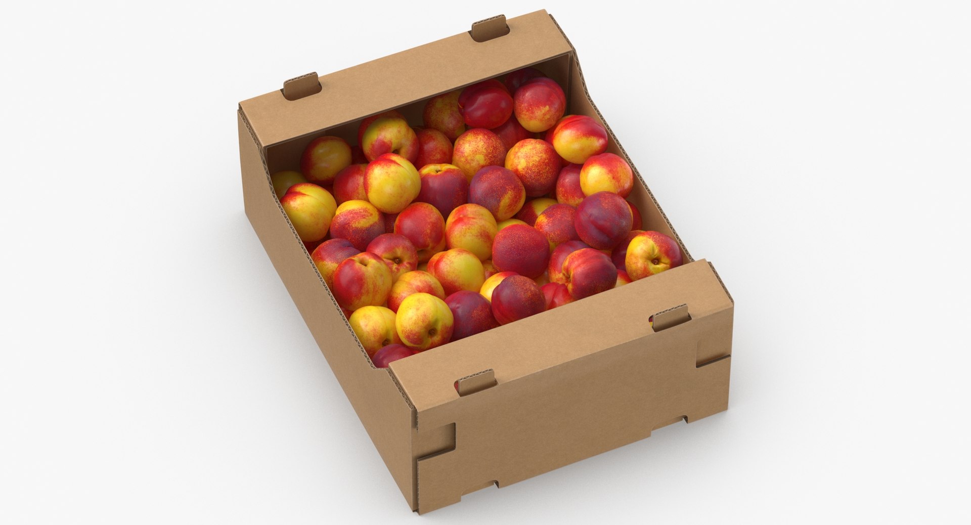 Cardboard Display Box Nectarines 3D Model - TurboSquid 1470175