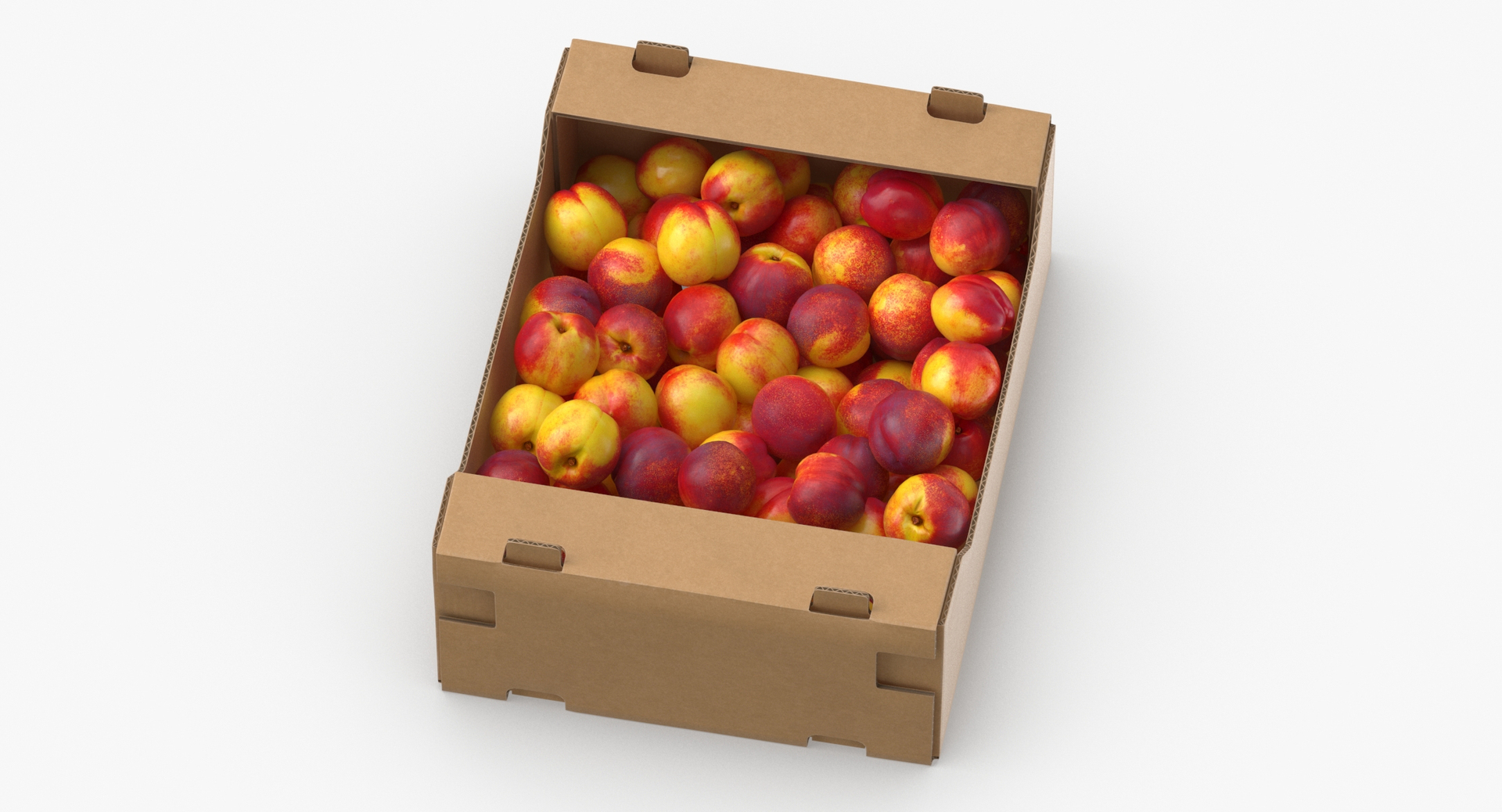 Cardboard Display Box Nectarines 3D Model - TurboSquid 1470175