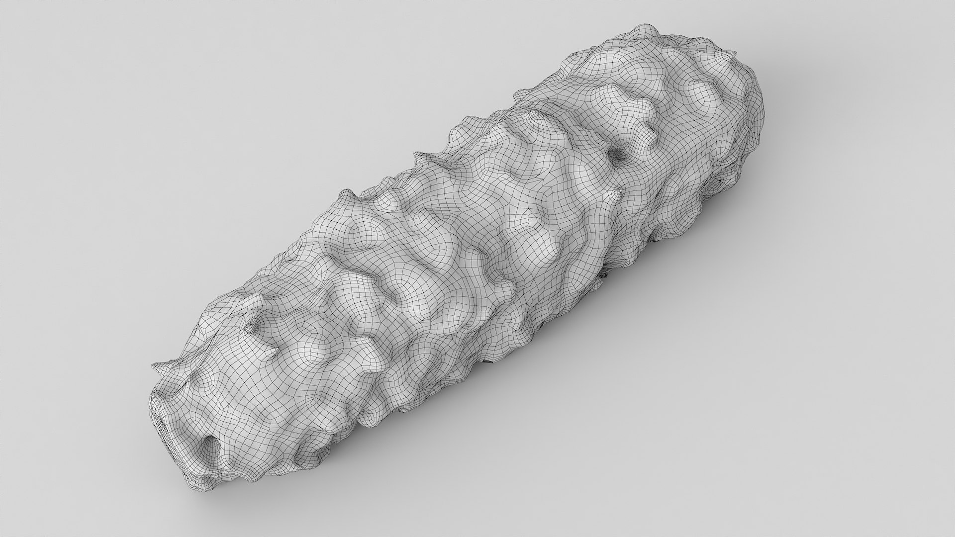3D Corn Cob Model - TurboSquid 1793014