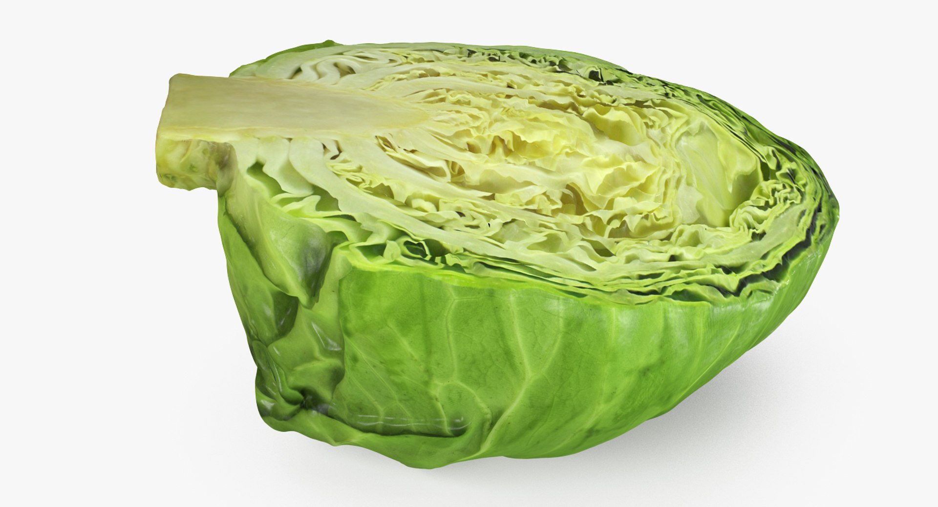 3D cabbage realistic - TurboSquid 1166875