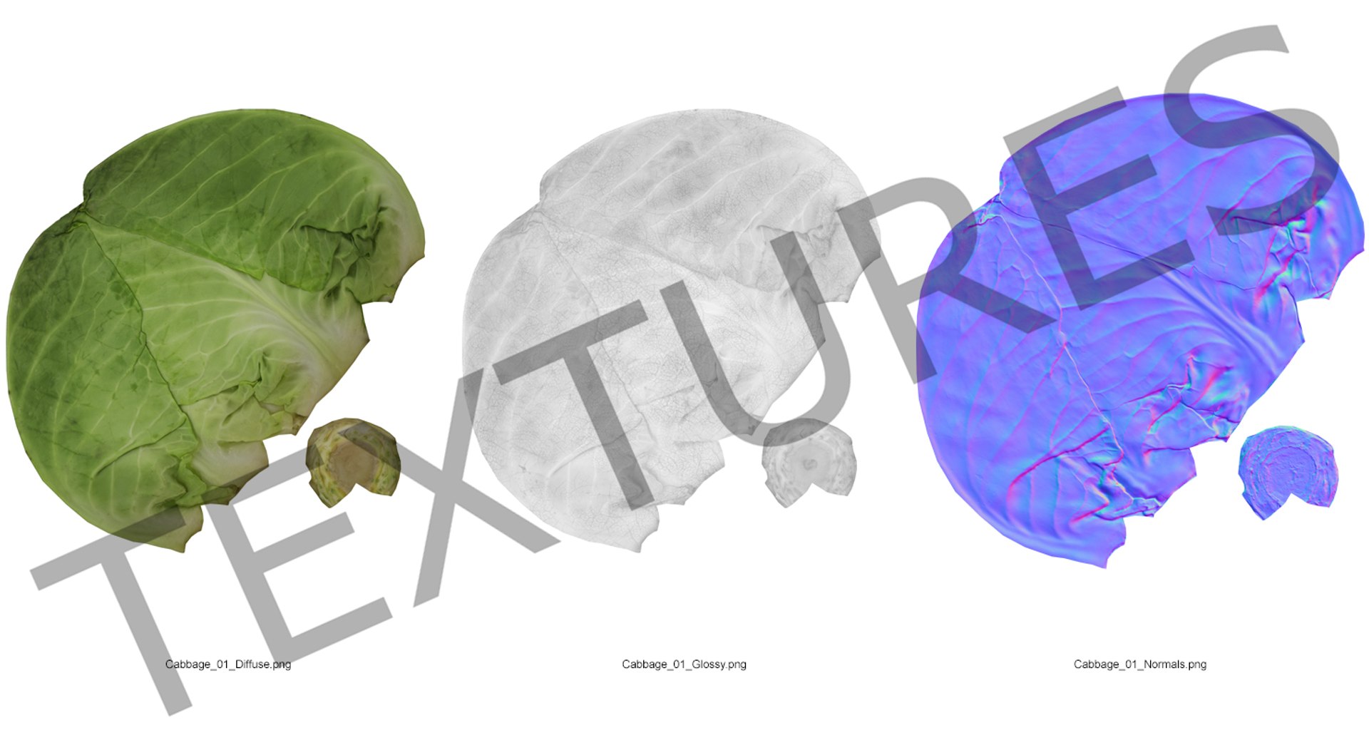 3D cabbage realistic - TurboSquid 1166875