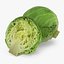 3D cabbage realistic - TurboSquid 1166875