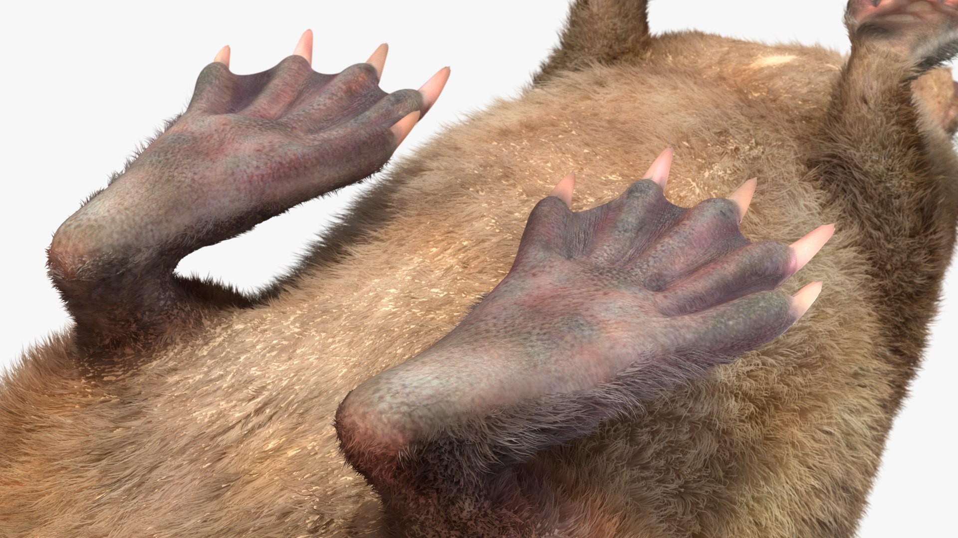 3D Desman Fur Model - TurboSquid 2185699