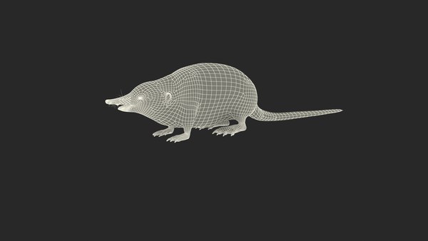 modelo 3d Piel de Desmán - TurboSquid 2185699