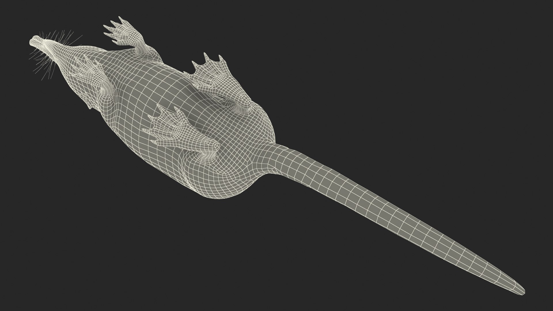 3D Desman Fur Model - TurboSquid 2185699