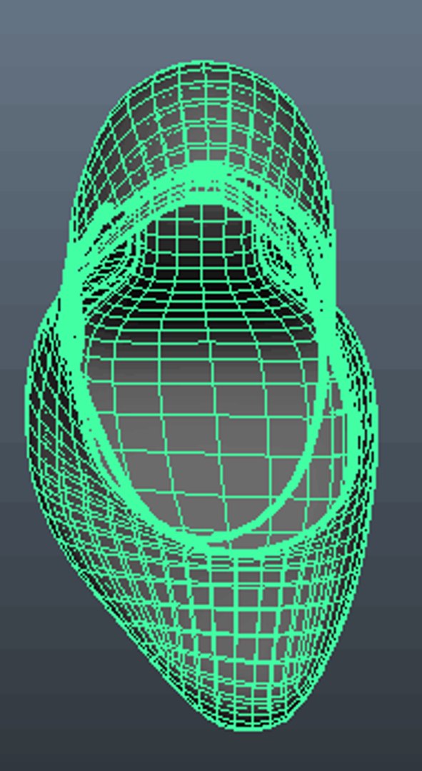 Life 3D Model - TurboSquid 1207992