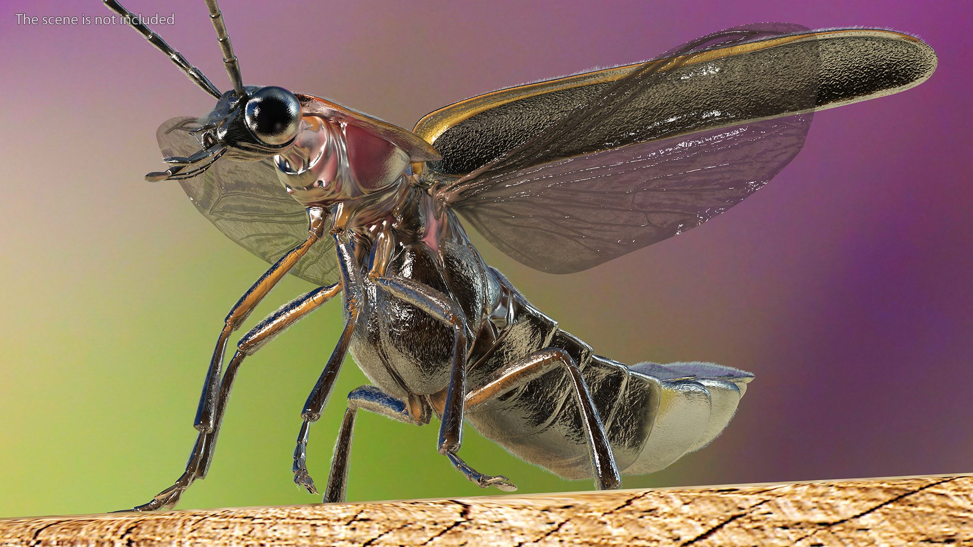 3D Big Dipper Firefly Standing Pose Fur Model - TurboSquid 2171882