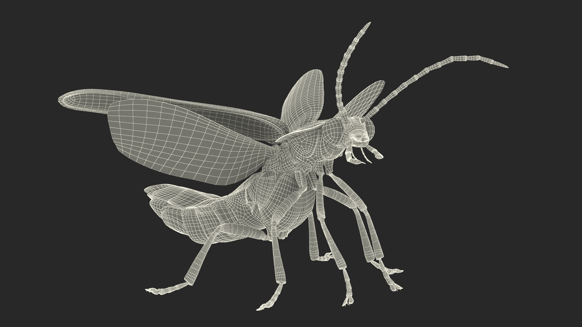 3D Big Dipper Firefly Standing Pose Fur Model - TurboSquid 2171882