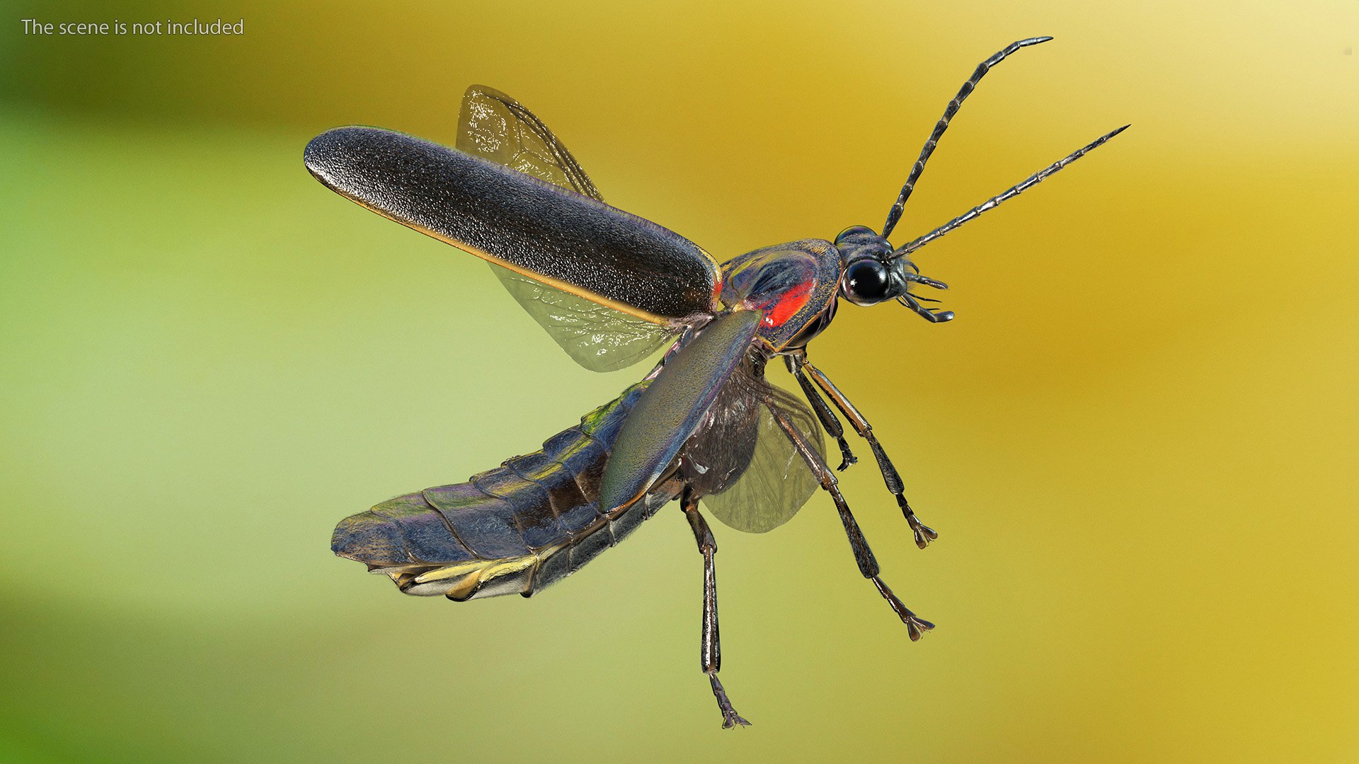 3D Big Dipper Firefly Standing Pose Fur Model - TurboSquid 2171882