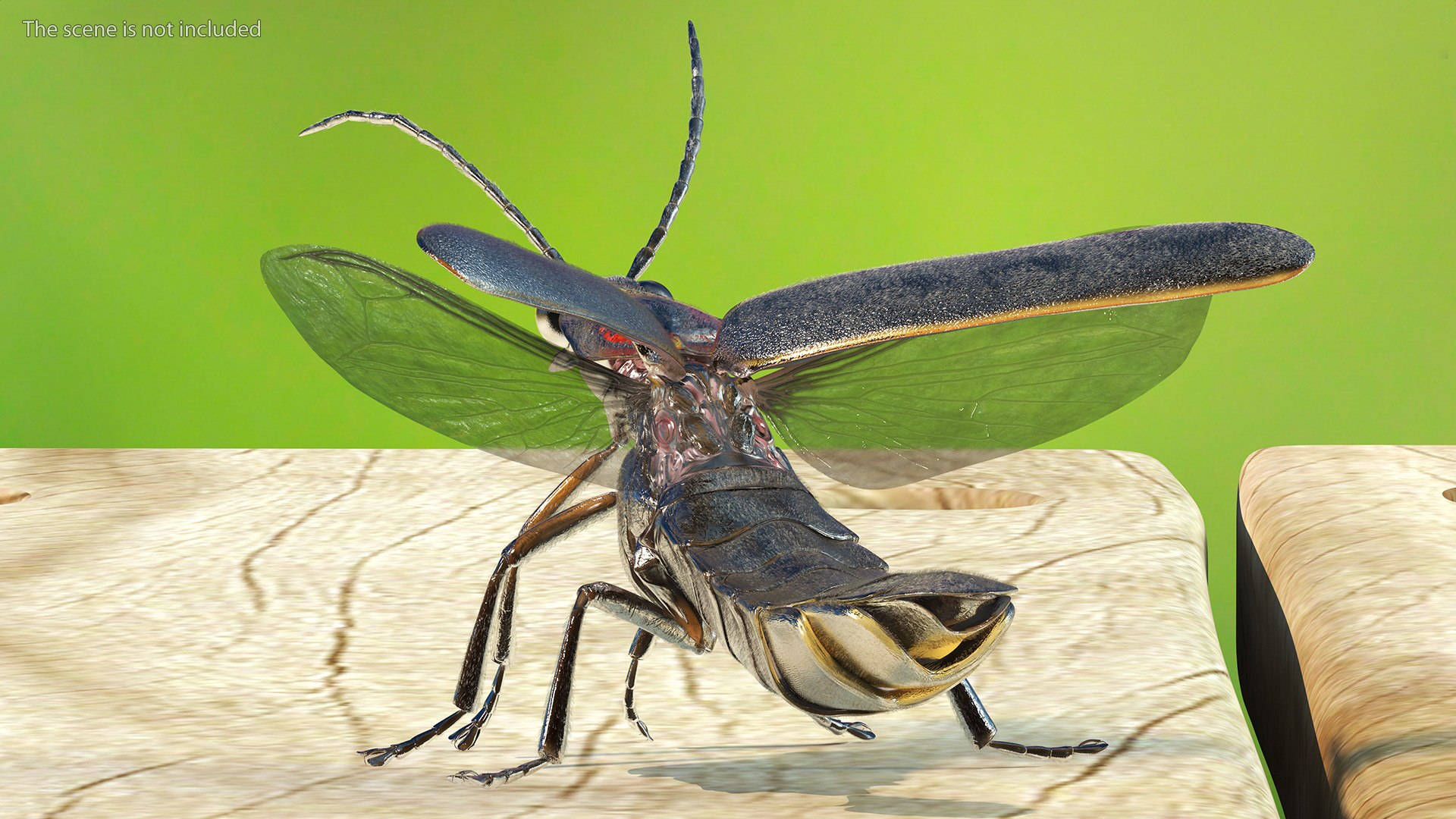 3D Big Dipper Firefly Standing Pose Fur Model - TurboSquid 2171882