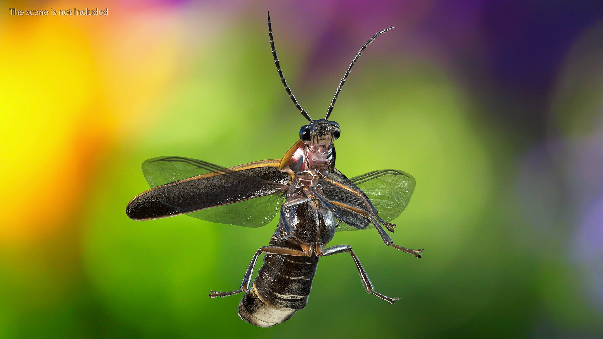 3D Big Dipper Firefly Standing Pose Fur Model - TurboSquid 2171882