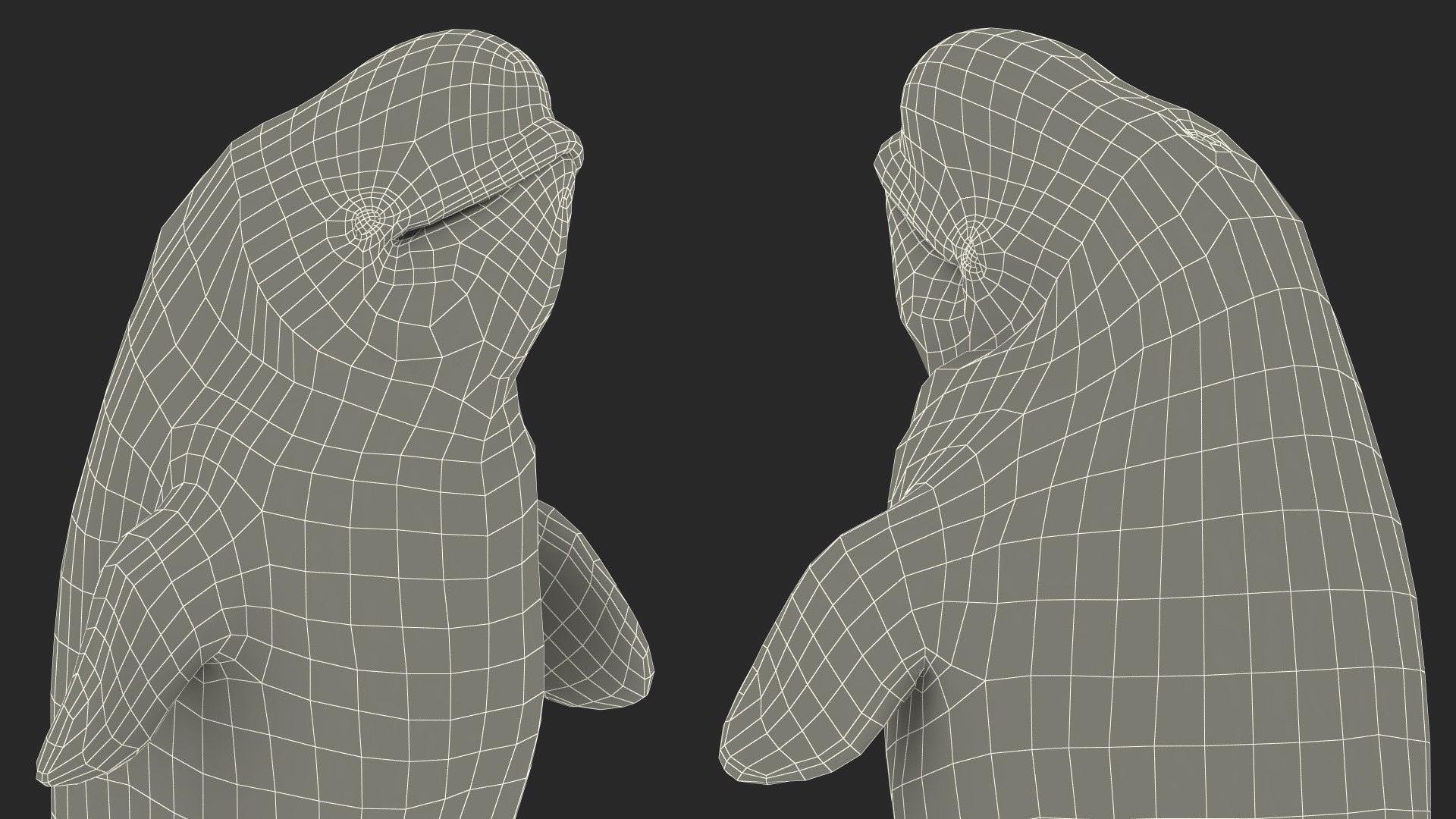 Beluga Whale Young Performance Pose 3D - TurboSquid 2027963