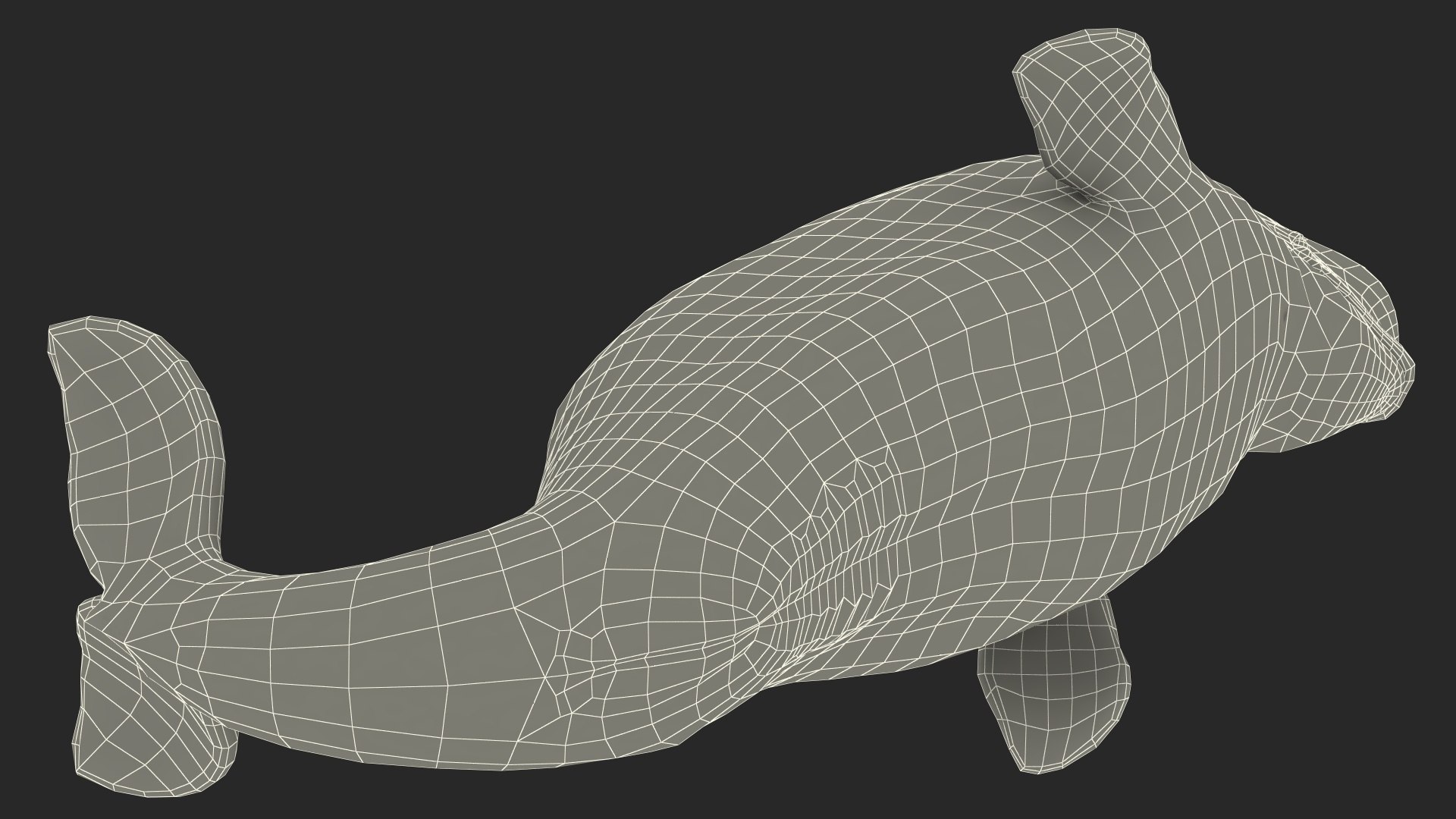 Beluga Whale Young Performance Pose 3D - TurboSquid 2027963