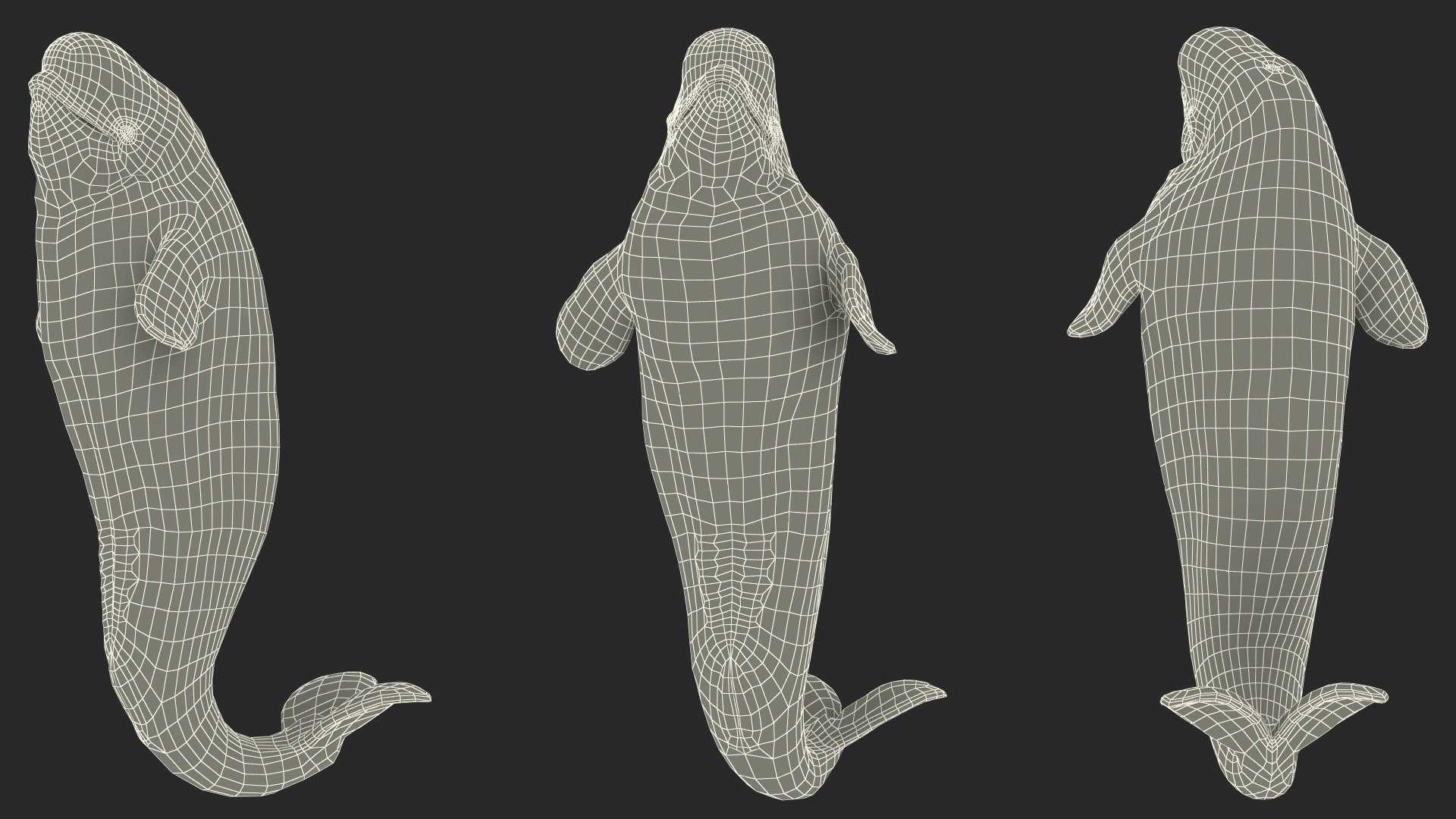 Beluga Whale Young Performance Pose 3D - TurboSquid 2027963