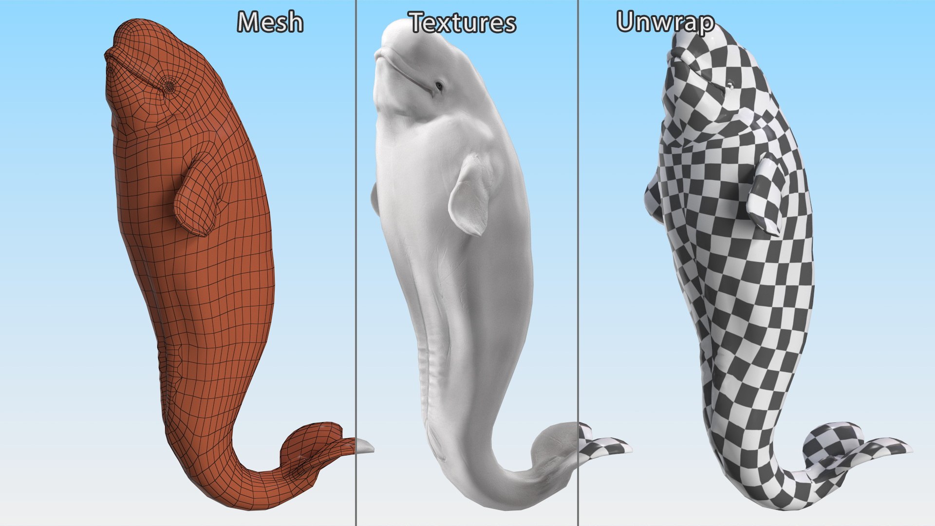 Beluga Whale Young Performance Pose 3D - TurboSquid 2027963