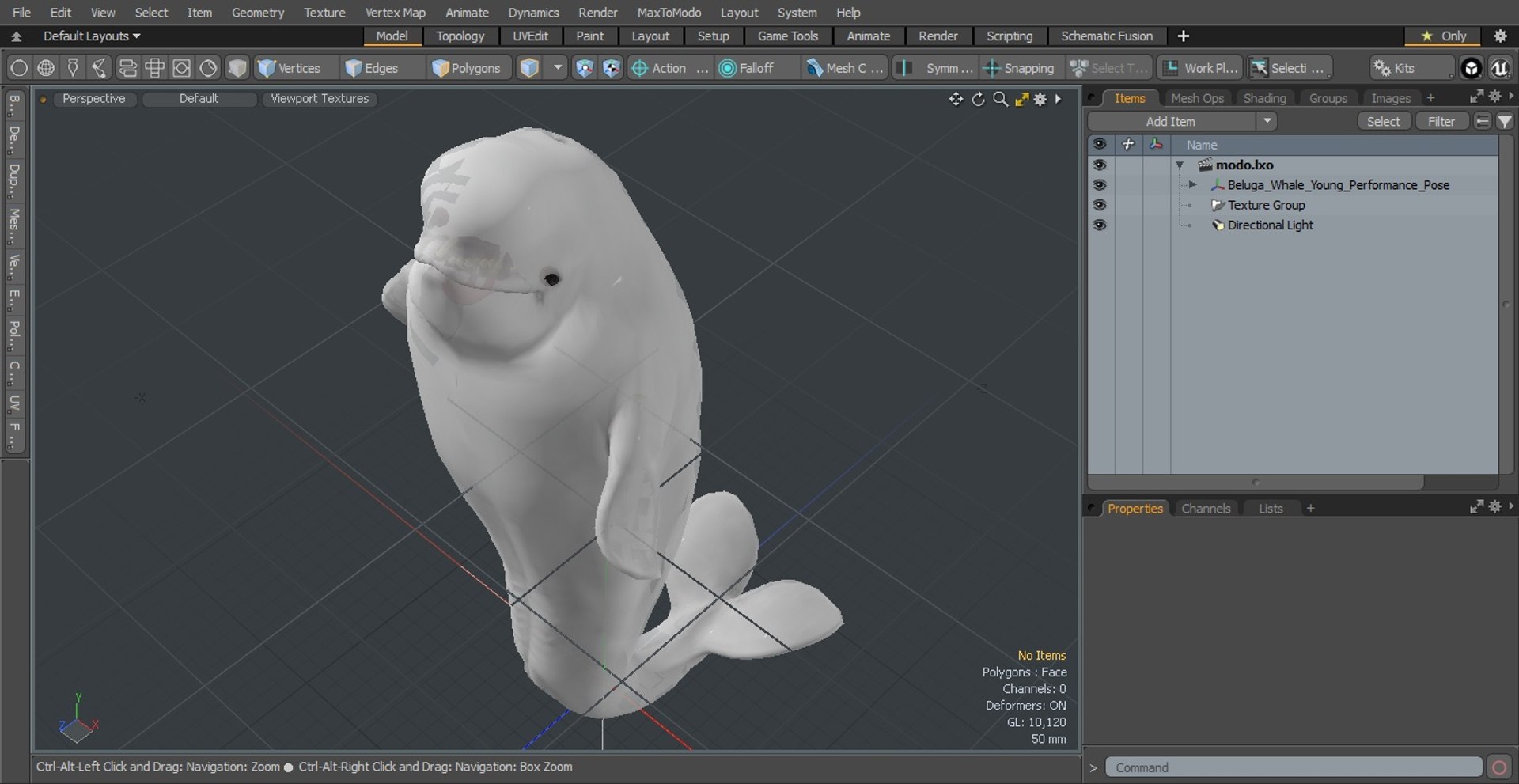 Beluga Whale Young Performance Pose 3D - TurboSquid 2027963