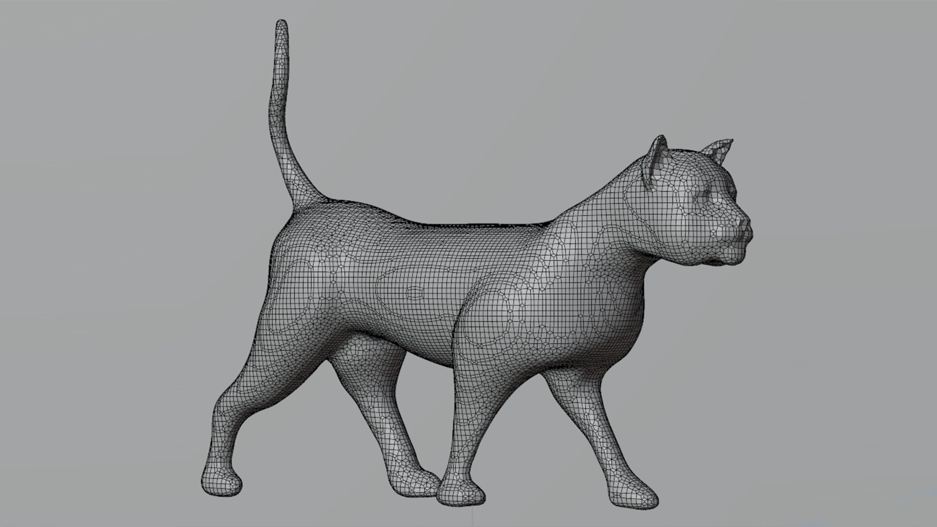 3D CAT POSE - TurboSquid 2131423