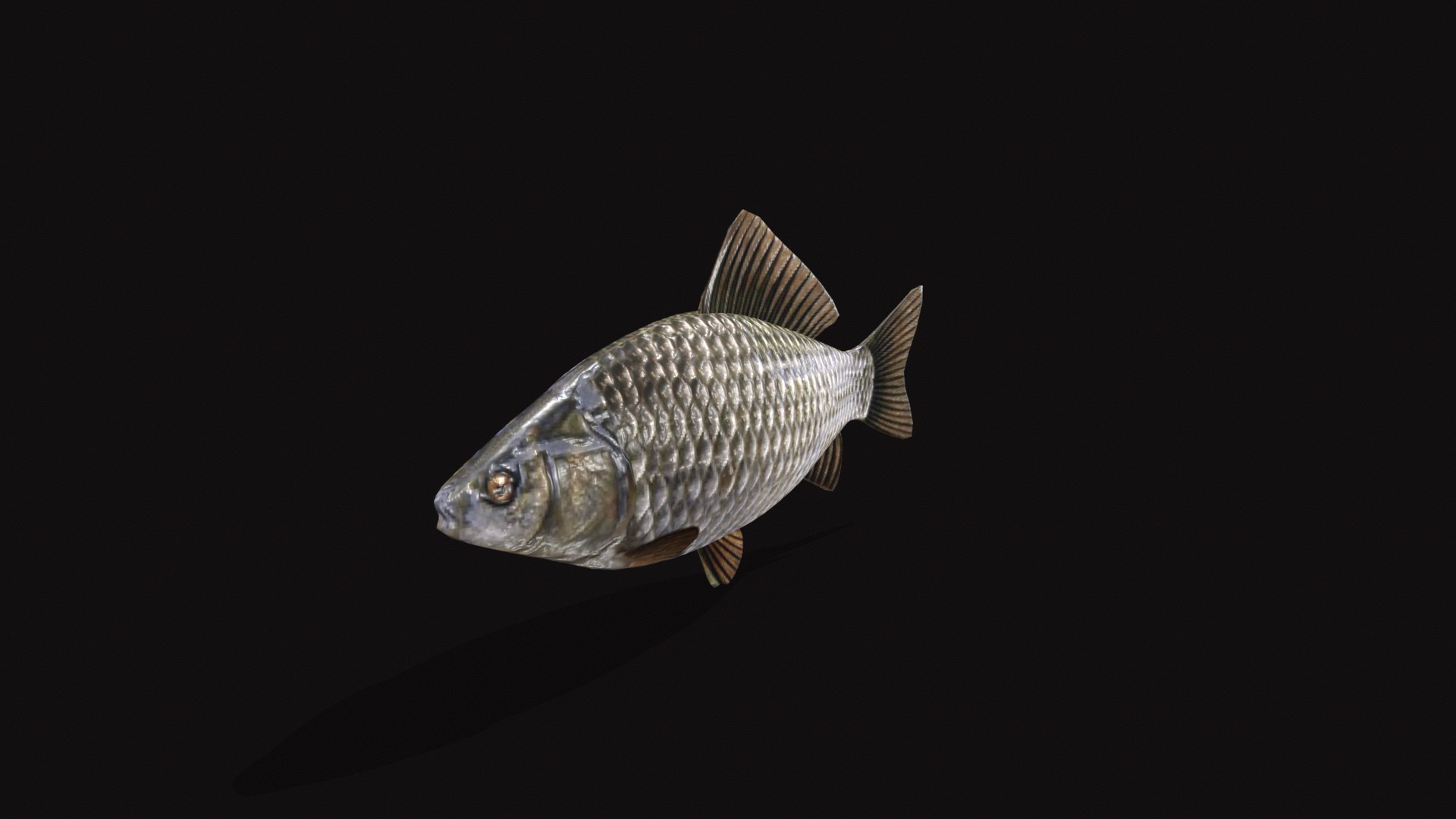 3D Medieval Fish 01 Model - TurboSquid 2326193