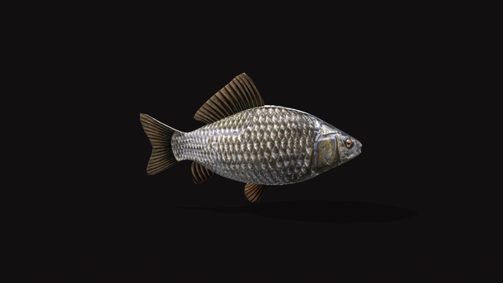 3D Medieval Fish 01 Model - TurboSquid 2326193