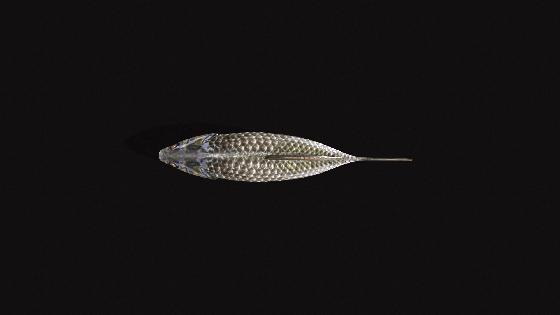 3D Medieval Fish 01 Model - TurboSquid 2326193