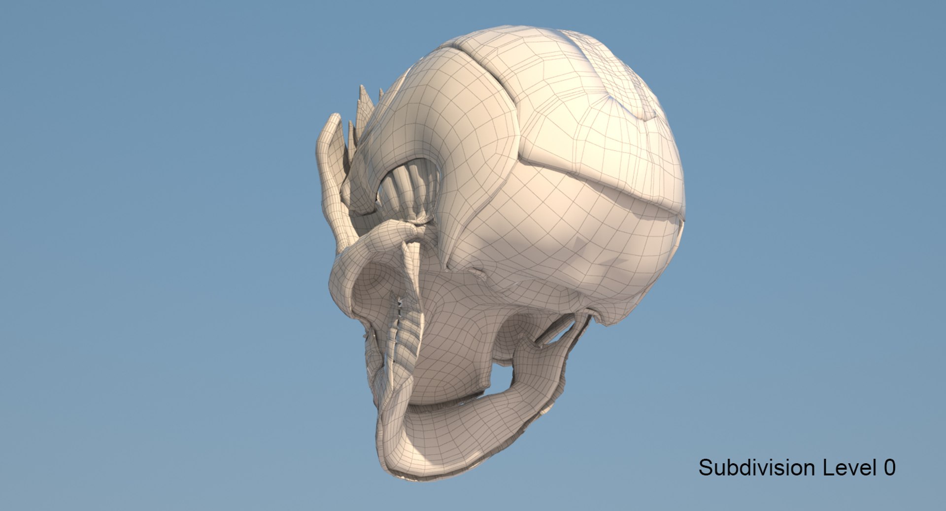 3D Model Skull Ue4 - TurboSquid 1162896