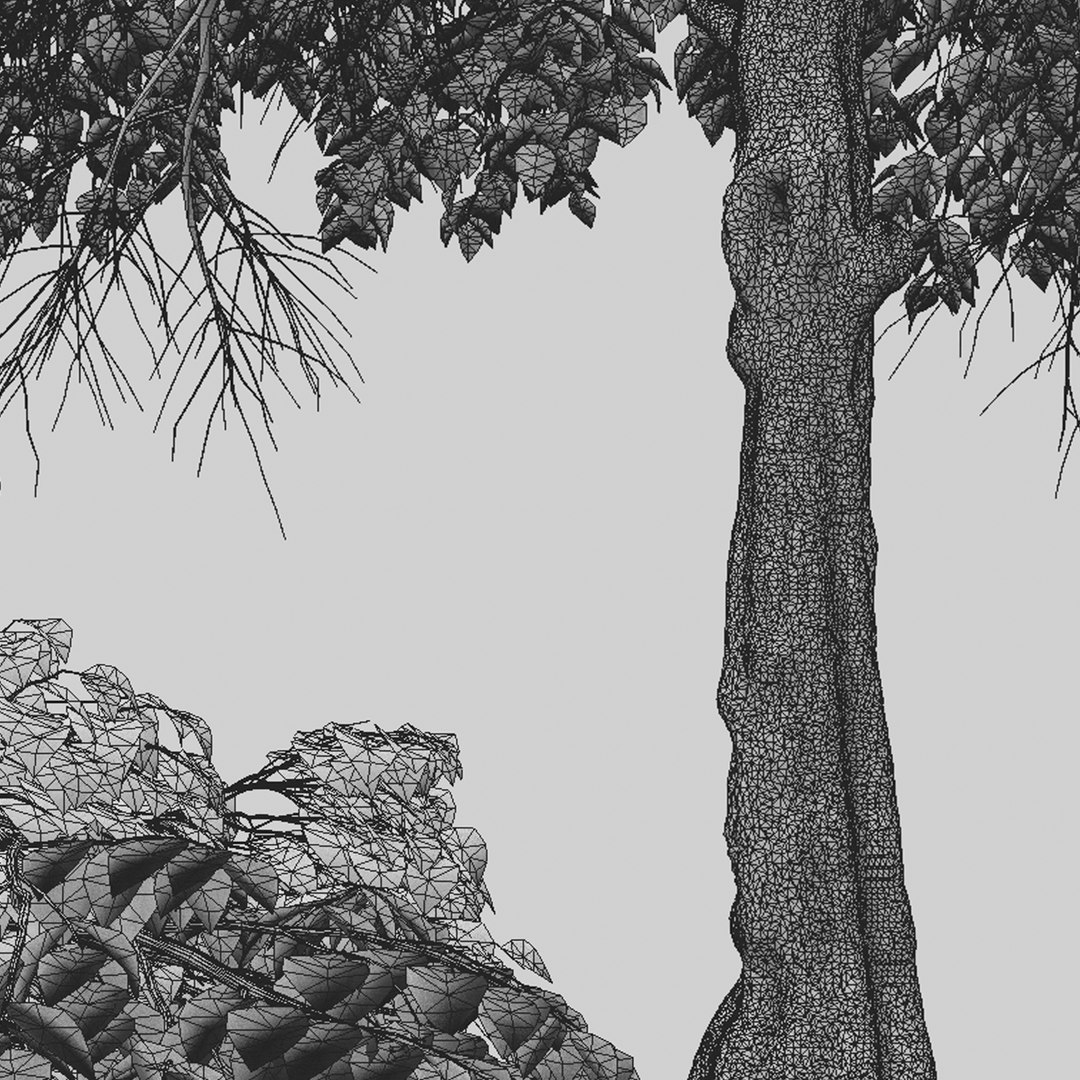 Set Of Catalpa Bungei Or Manchurian Catalpa Tree 3D Model - TurboSquid ...