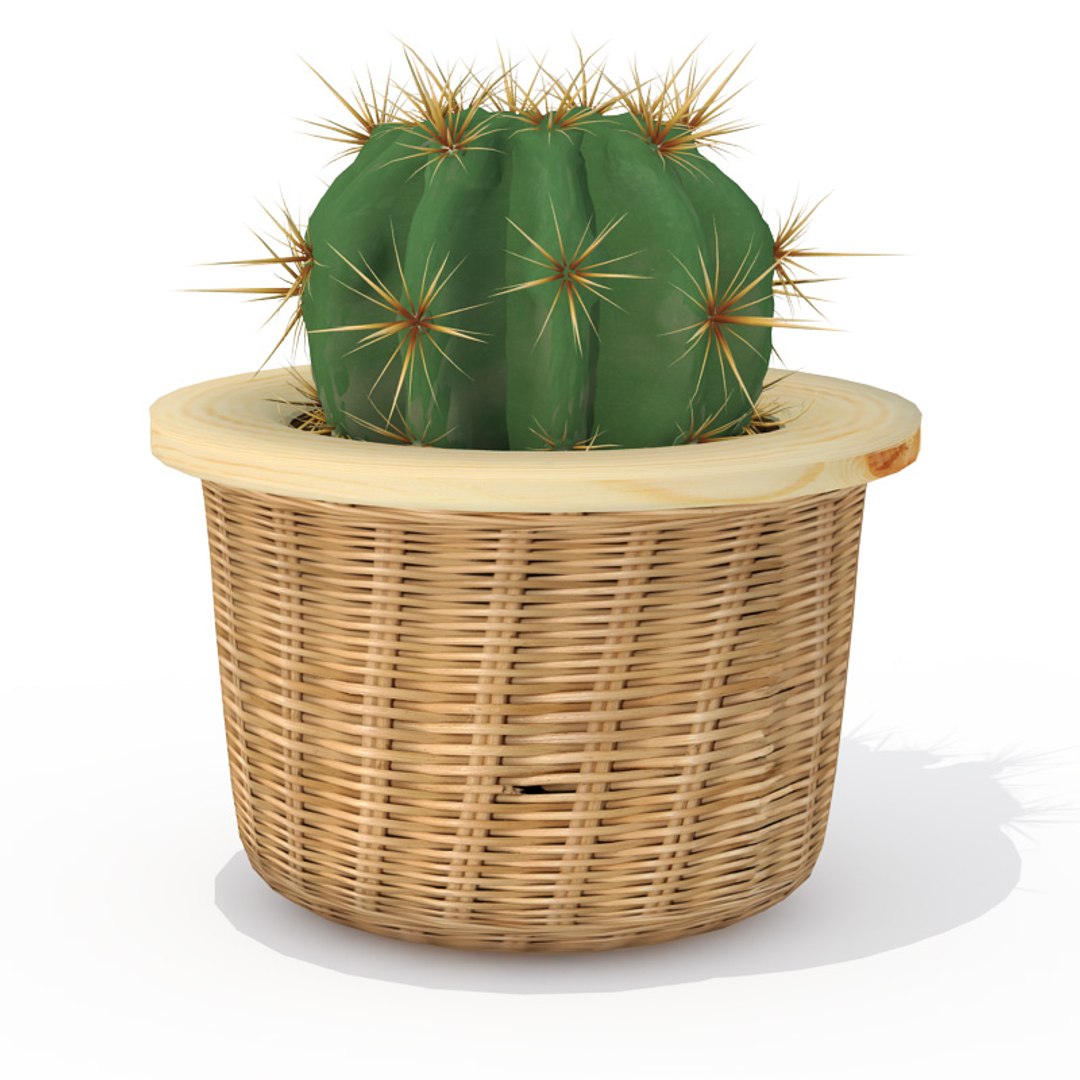 3d Xfrogplants Electrode Cactus Plant