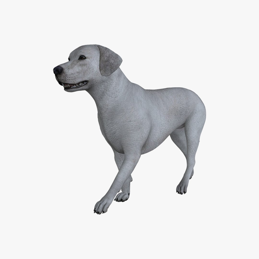 3D model LAB-001 Dog Walking - TurboSquid 1912301