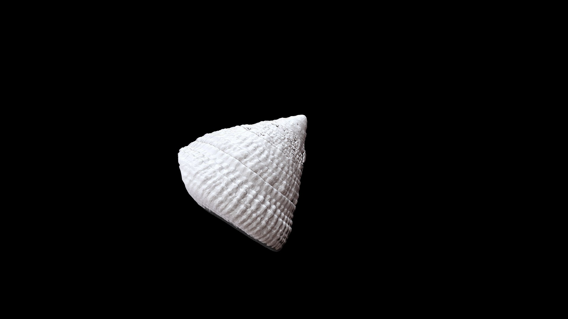 Seashell 017 3D CT Scan Model 3D Model - TurboSquid 1846040