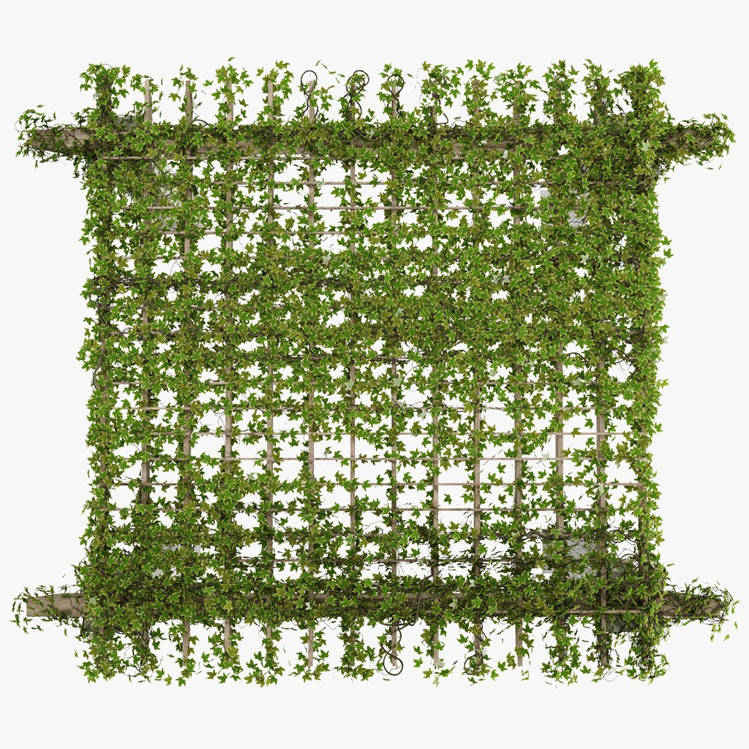 Classic Pergola With Ivy V2 3D - TurboSquid 1924883