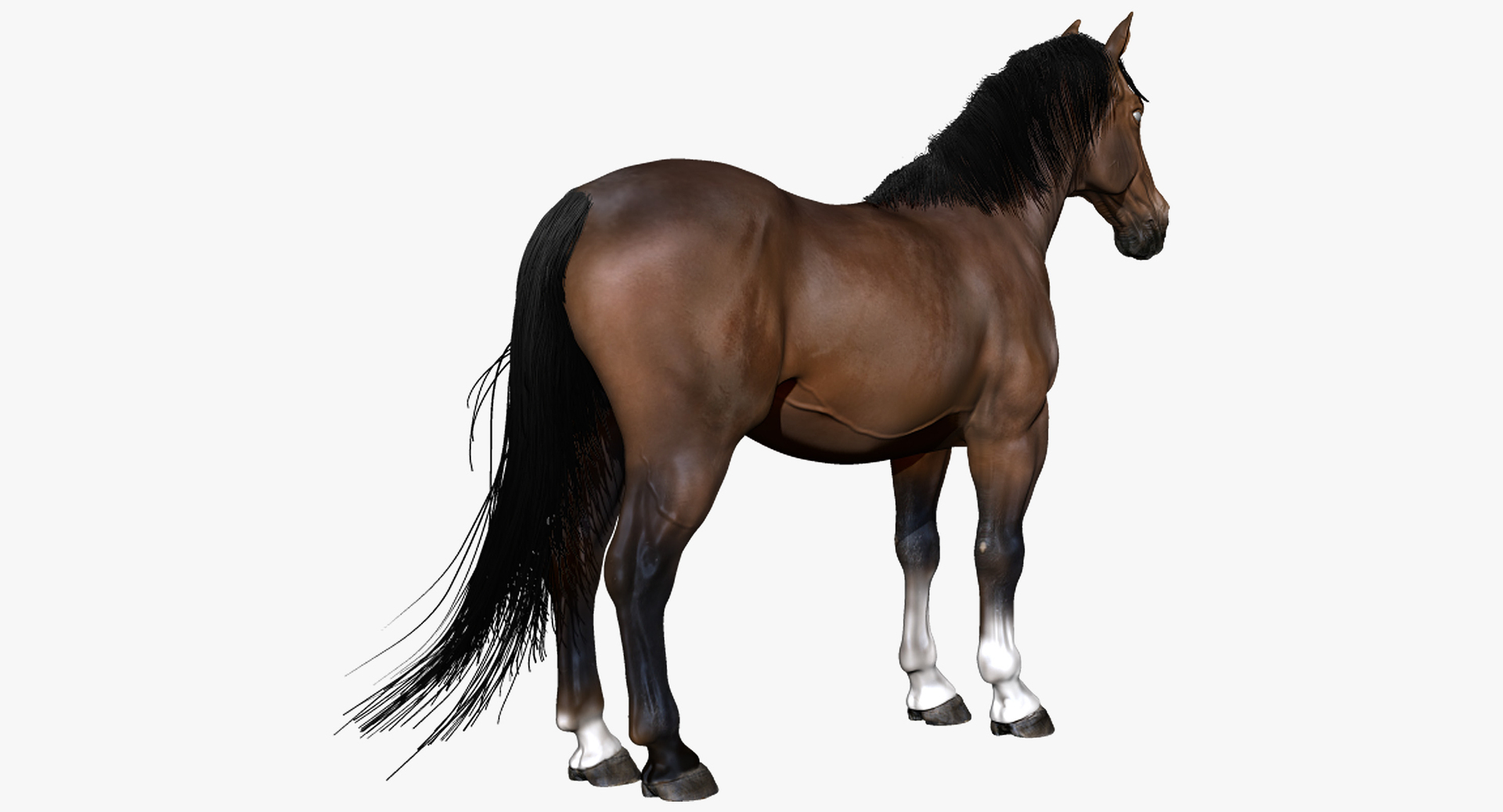 realistic horse max