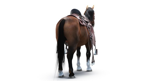 realistic horse max