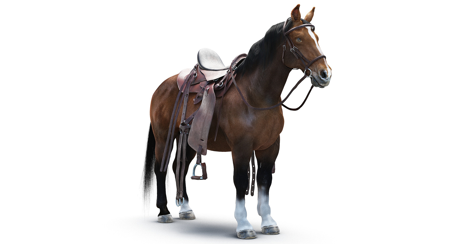 realistic horse max