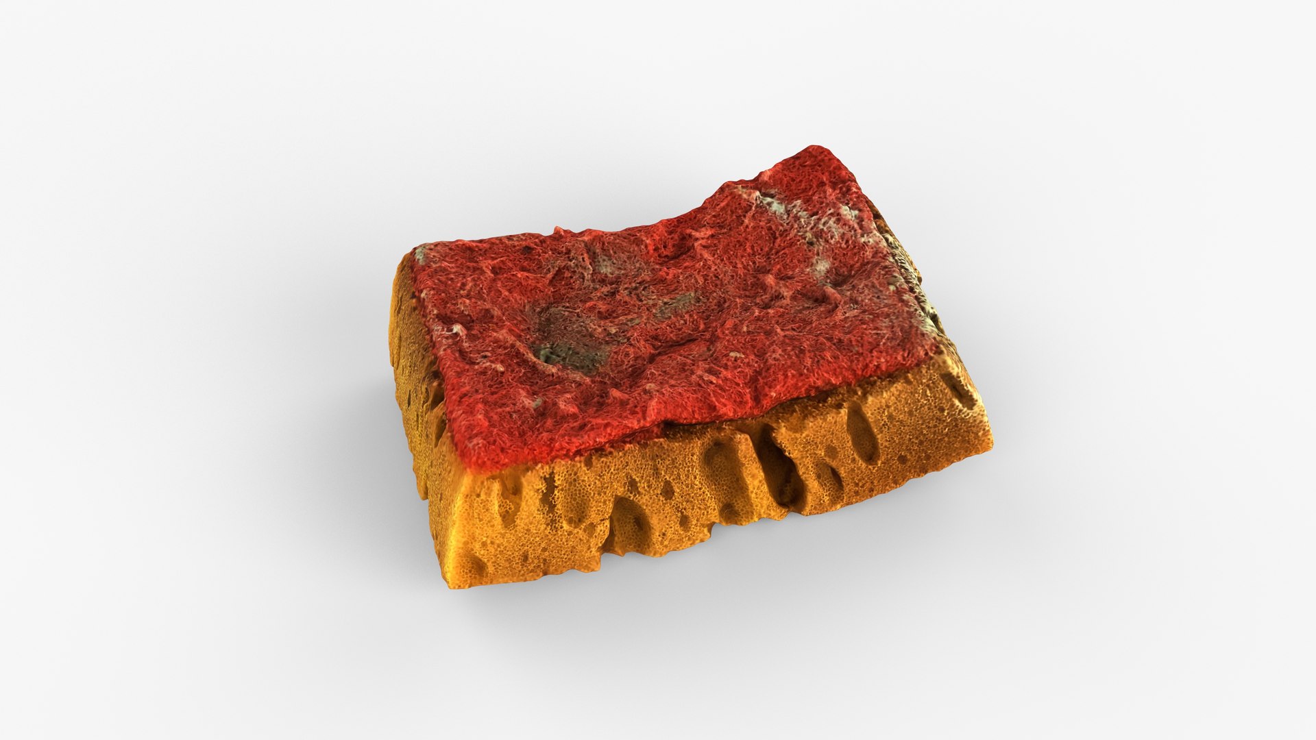 Photorealistic 3D Scan Of Dirty Used Sponge 3D - TurboSquid 2367562