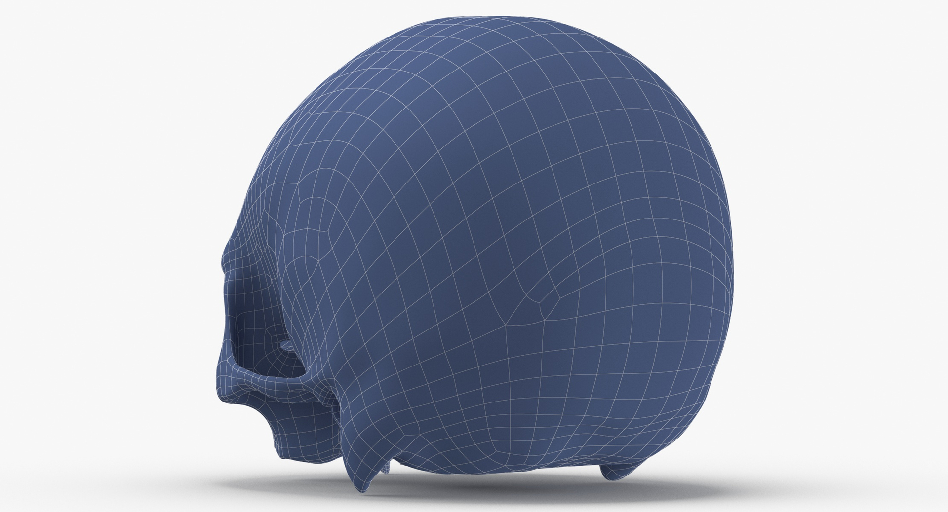 Human skull cranium leprosy 3D model - TurboSquid 1662437