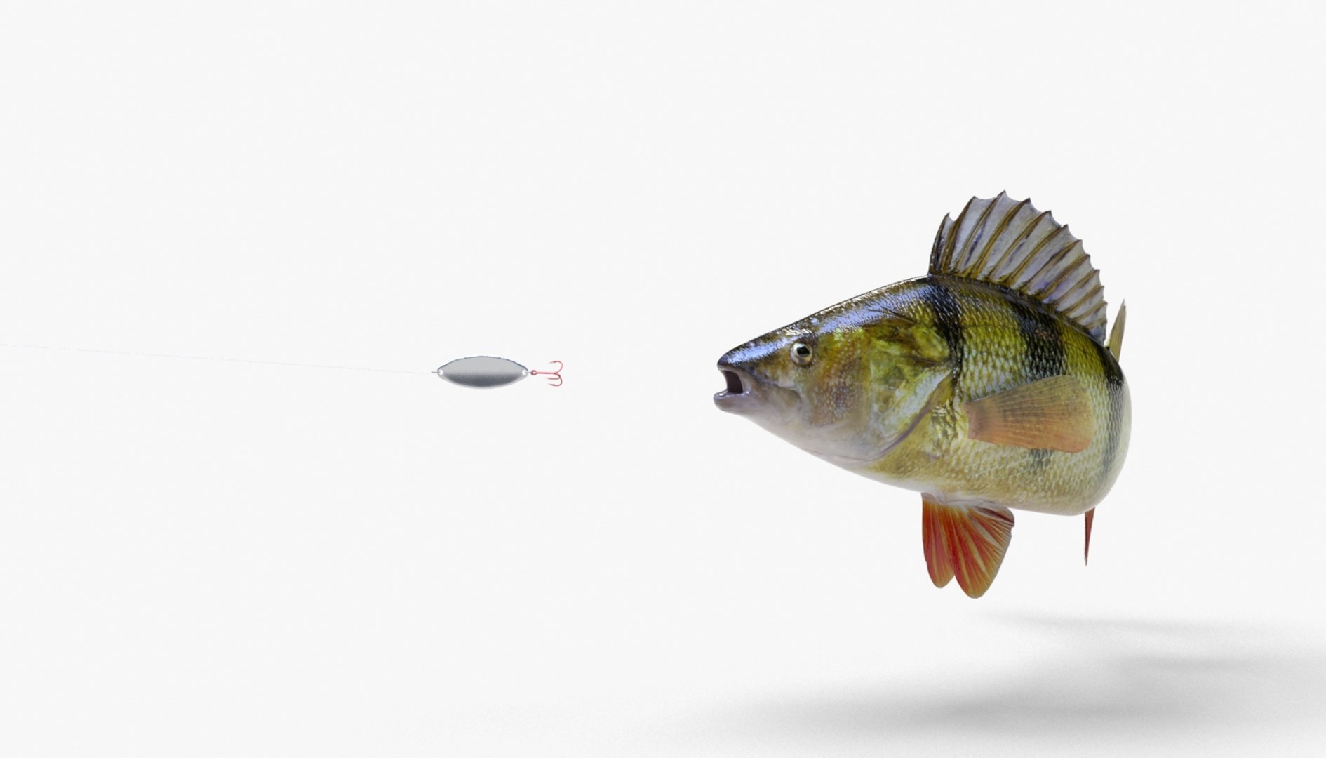 Yellow Perch Model - TurboSquid 1514723