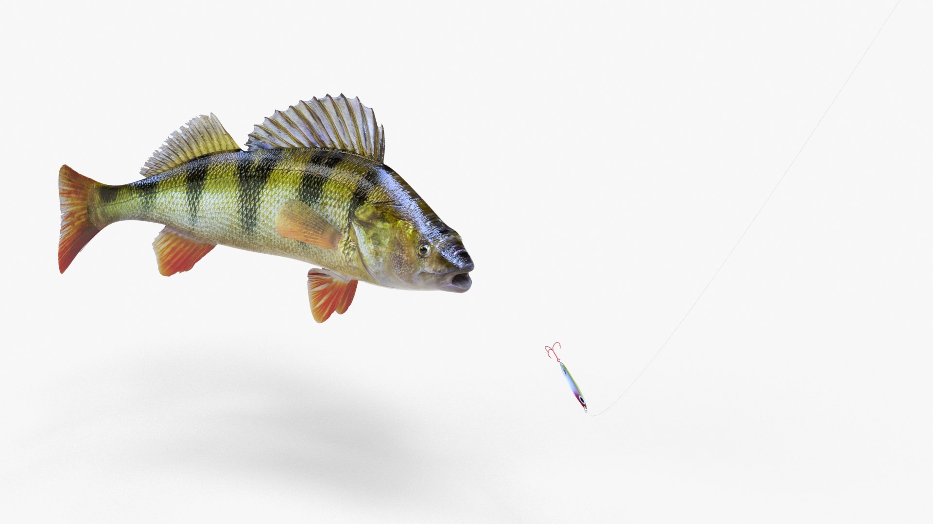 Yellow Perch Model - TurboSquid 1514723