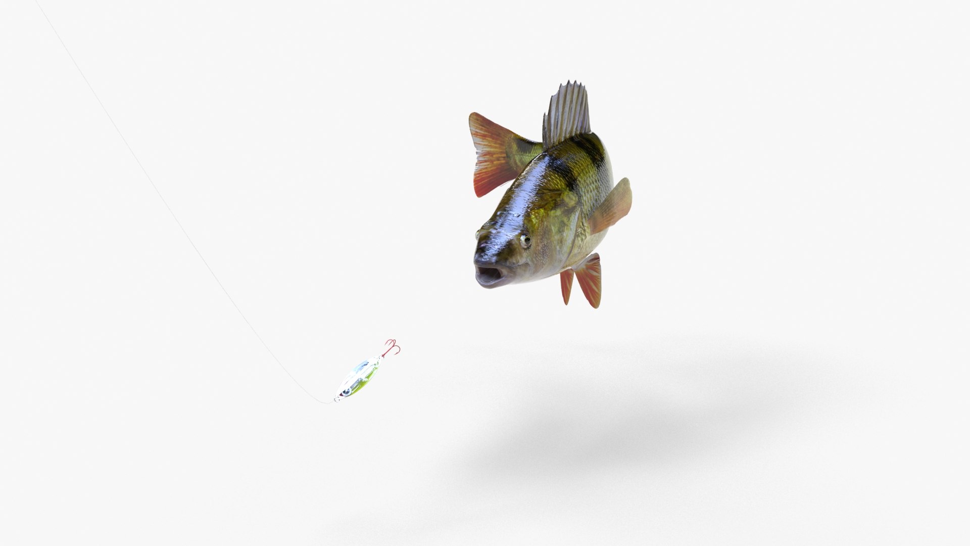 Yellow Perch Model - TurboSquid 1514723