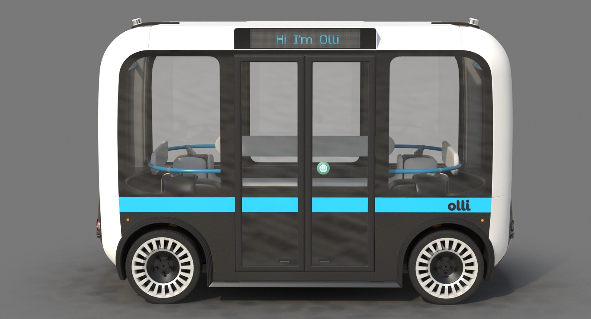 Olli Rigged 3d Model