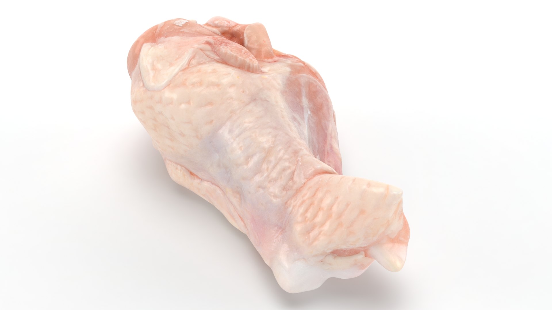 Fresh Raw Chicken Wing Drumette V1 3D - TurboSquid 2053316