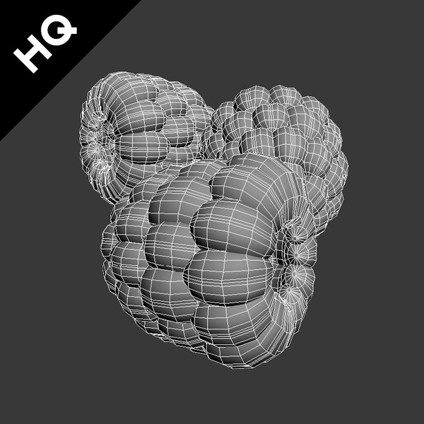 raspberry scanline obj