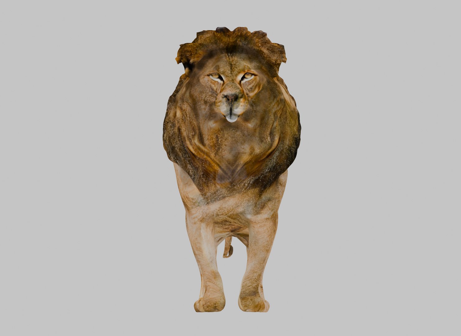 3D Lion Standing Model - TurboSquid 2261642