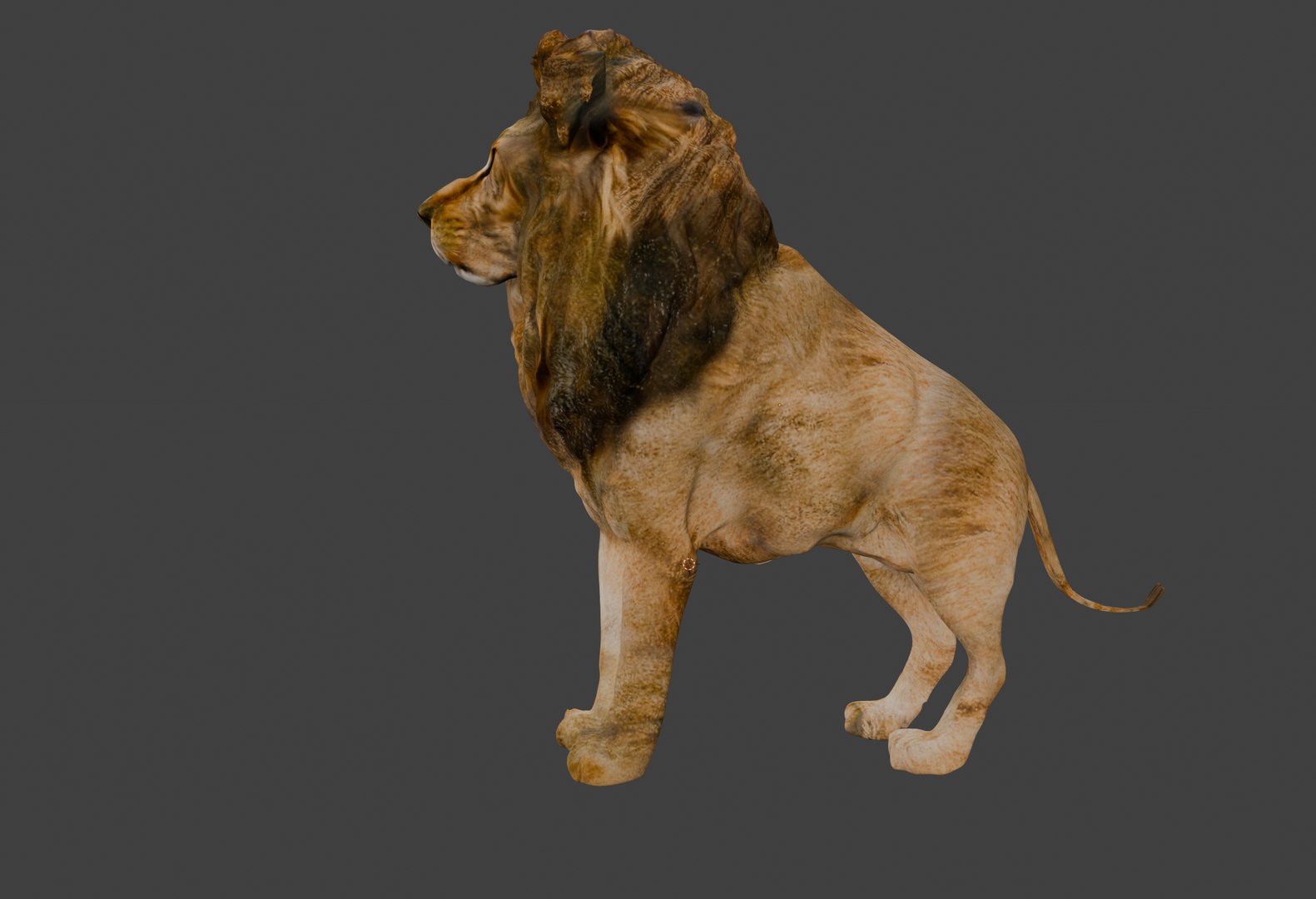 3D Lion Standing Model - TurboSquid 2261642