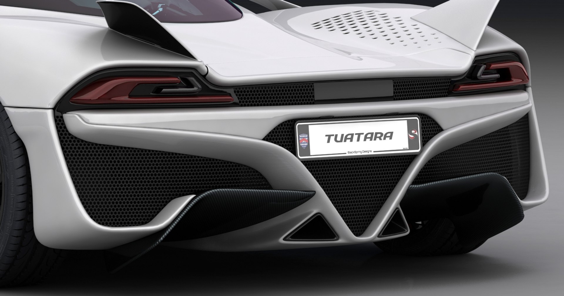 3D Ssc Tuatara 2019 - TurboSquid 1422269