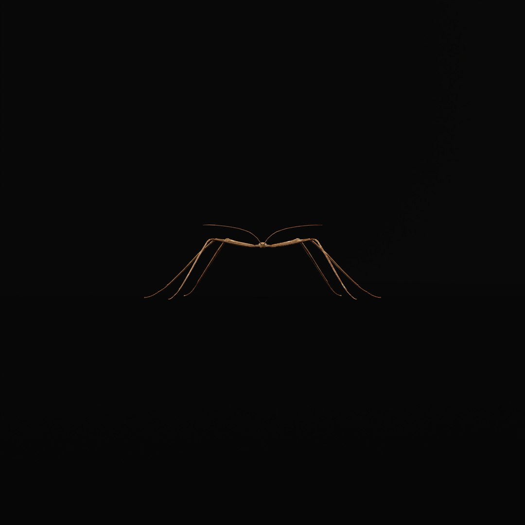 Giant Stick Insect Model - TurboSquid 2384473