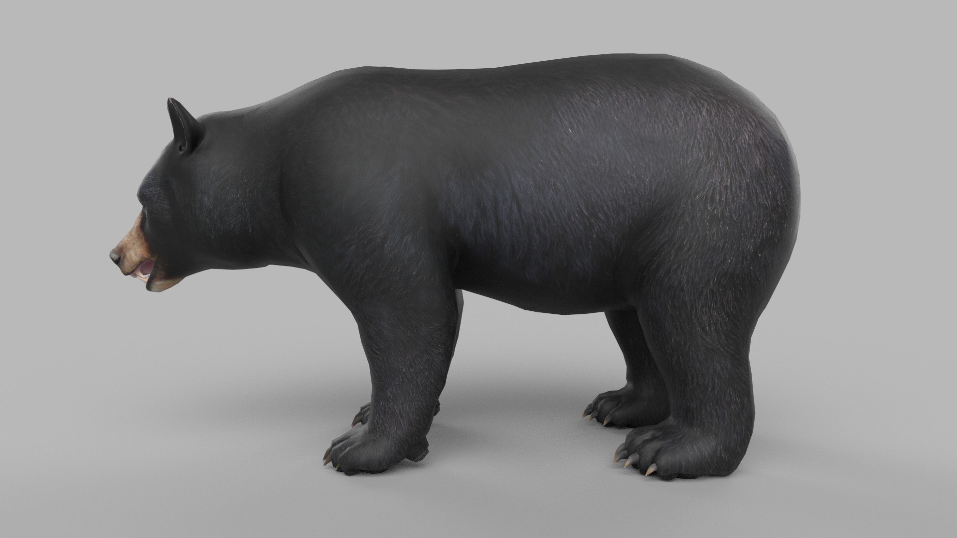 3D wild Bear - TurboSquid 1868621