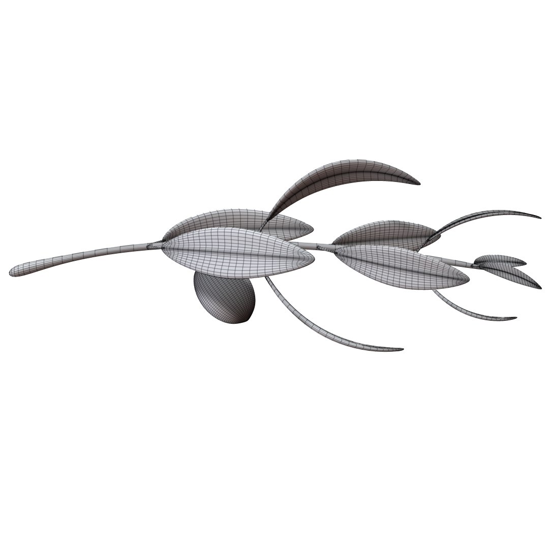 3D Olive Branch - TurboSquid 1309288